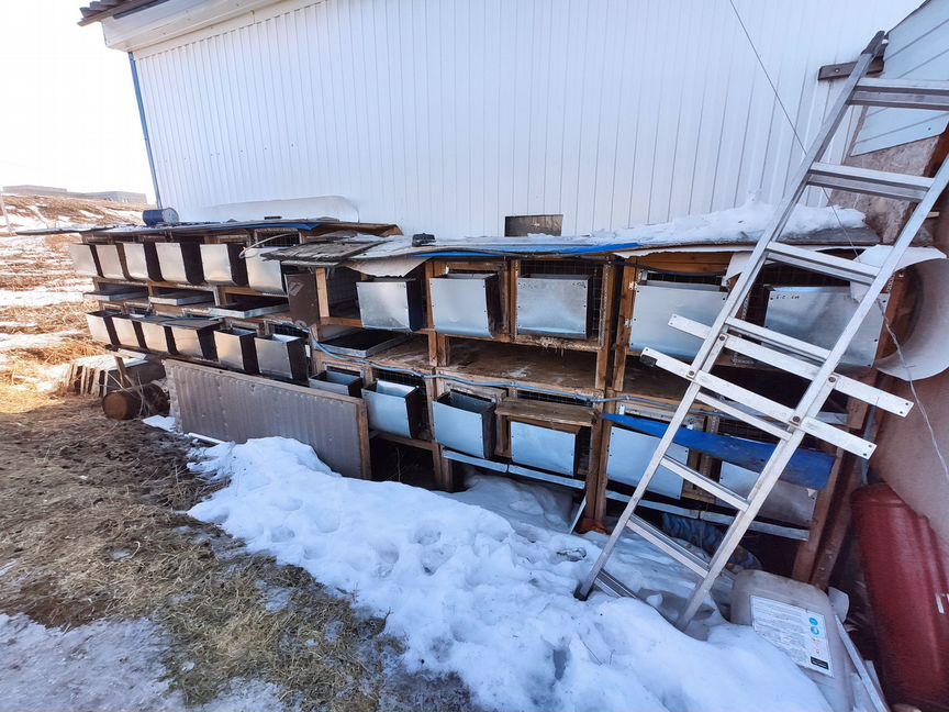 Клетки для кроликов