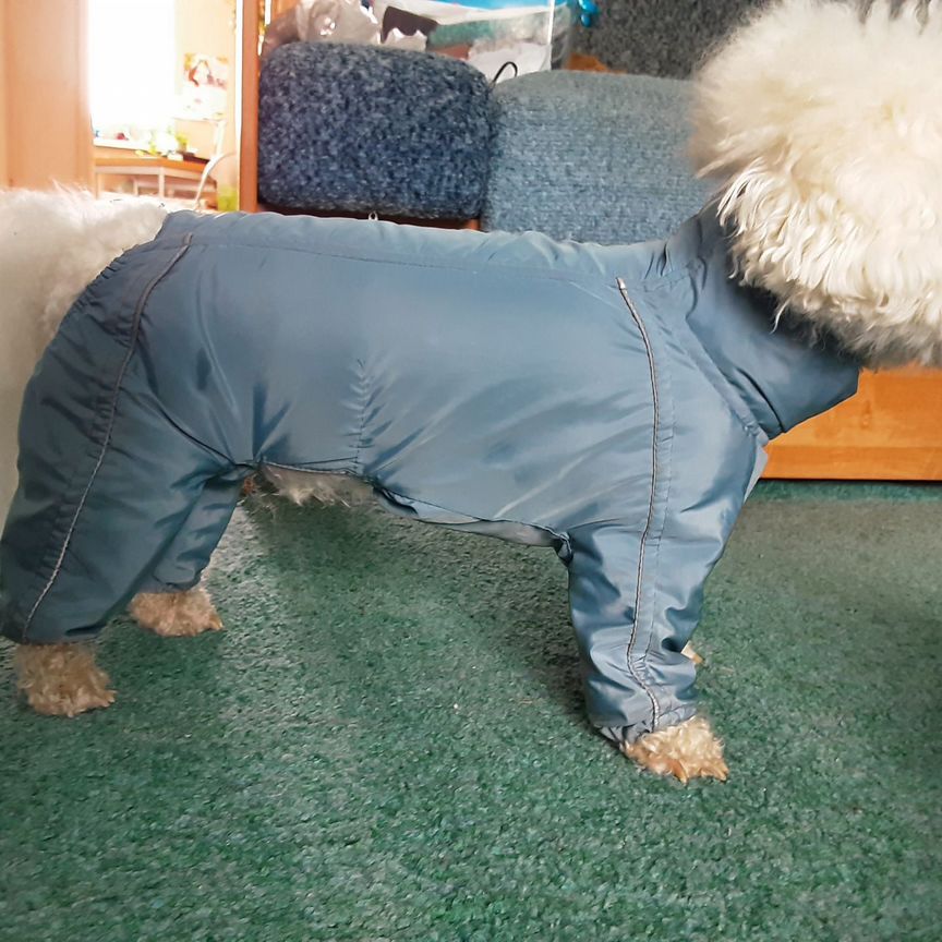 Комбинизон для кобеля р.28-30 Тузик, на флисе