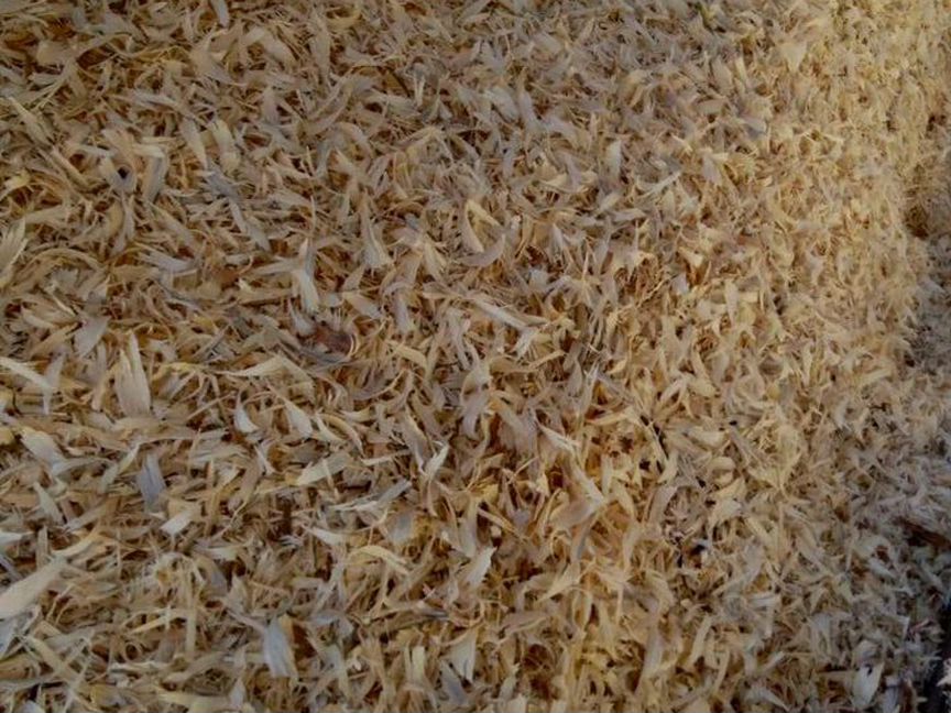 Древесная стружка