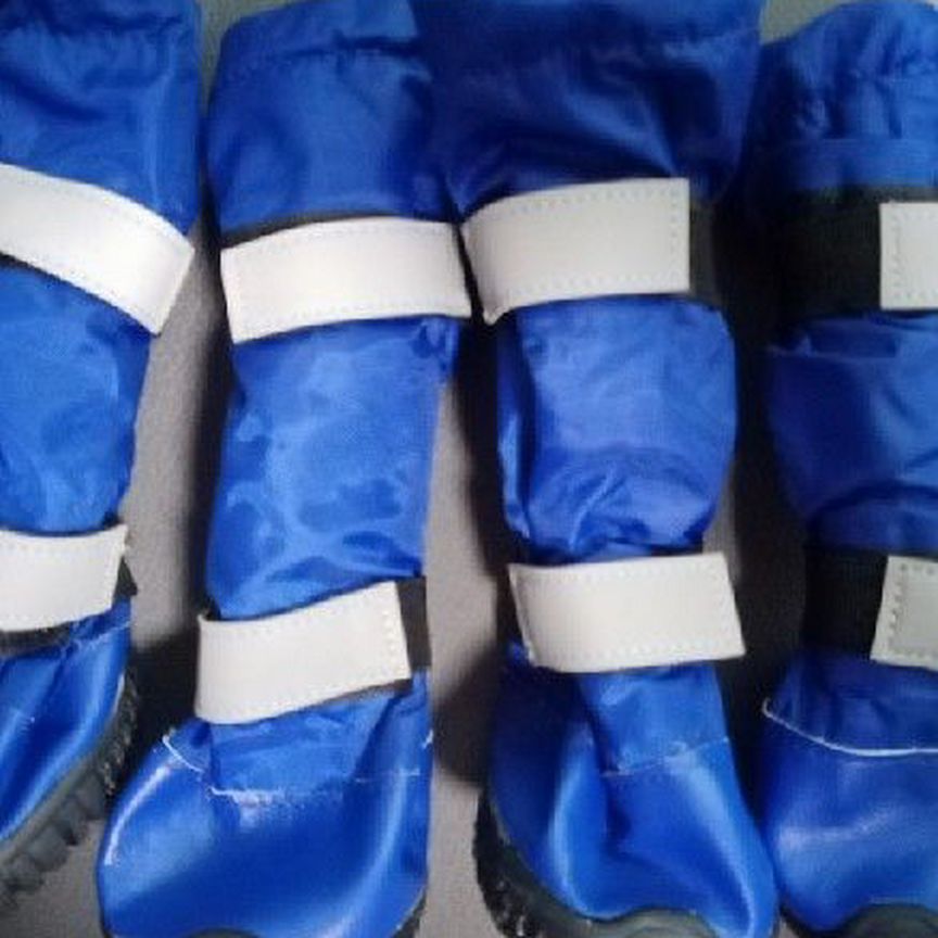 Собачьи сапожки