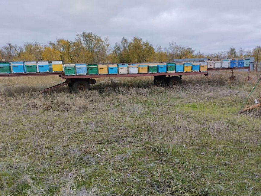 Улей для пчел