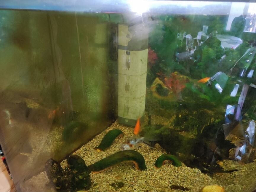 Продам аквариум 250 л