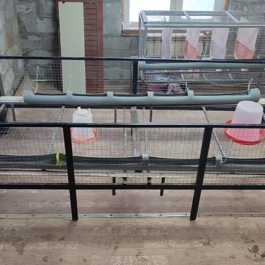 Клетки для птиц