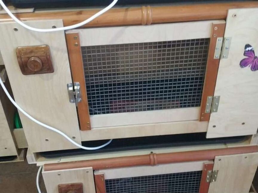 Клетка, брудер для цыплят