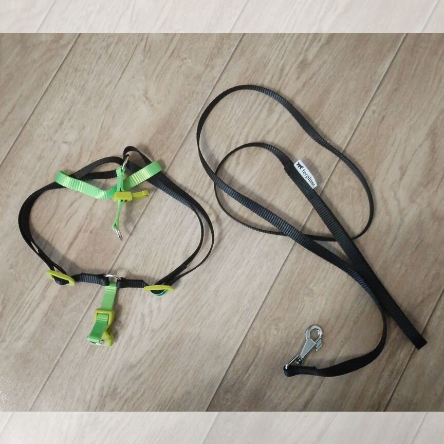 Шлейка поводок