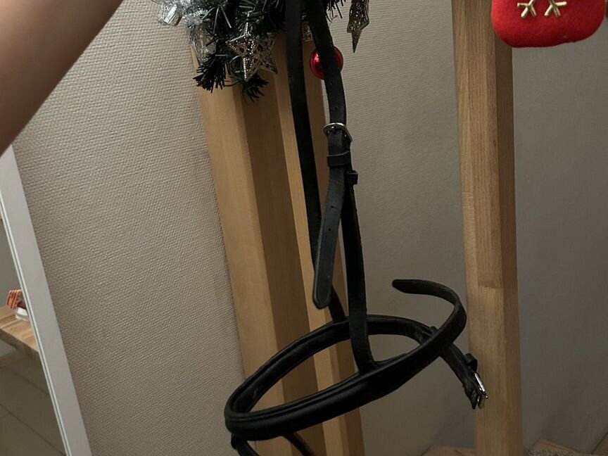 Капсуль для лошади