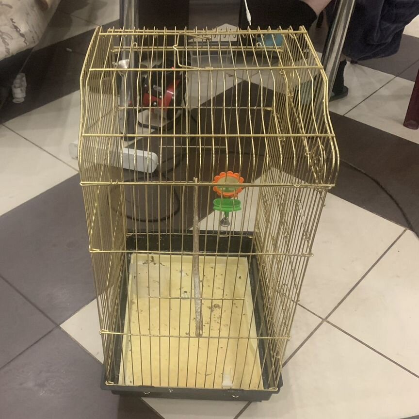 Продаю клетку