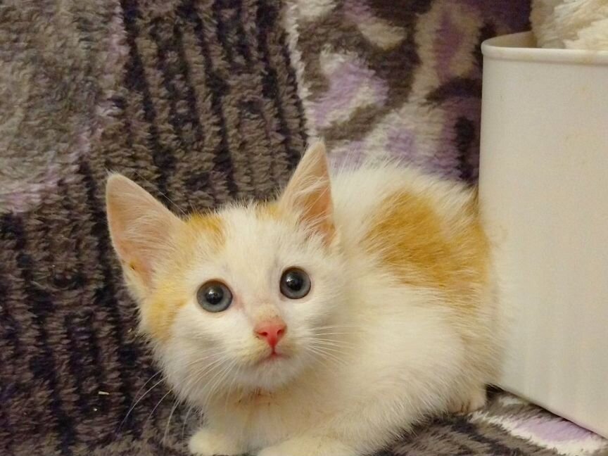 Маленький мальчик очень хочет домой