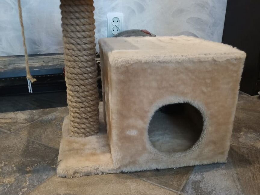 Домик для кошки с когтеточкой