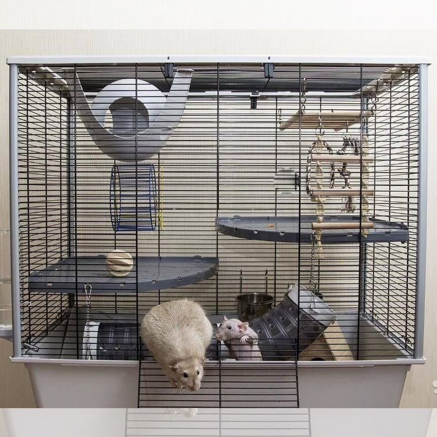Клетка для крупных грызунов