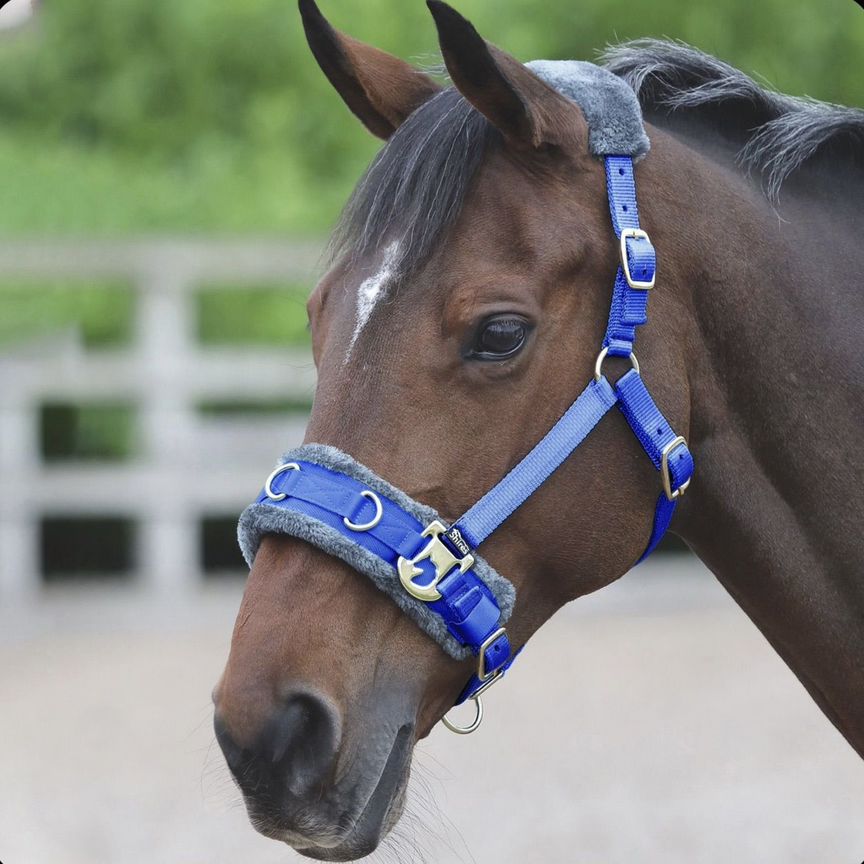 Товары для лошади