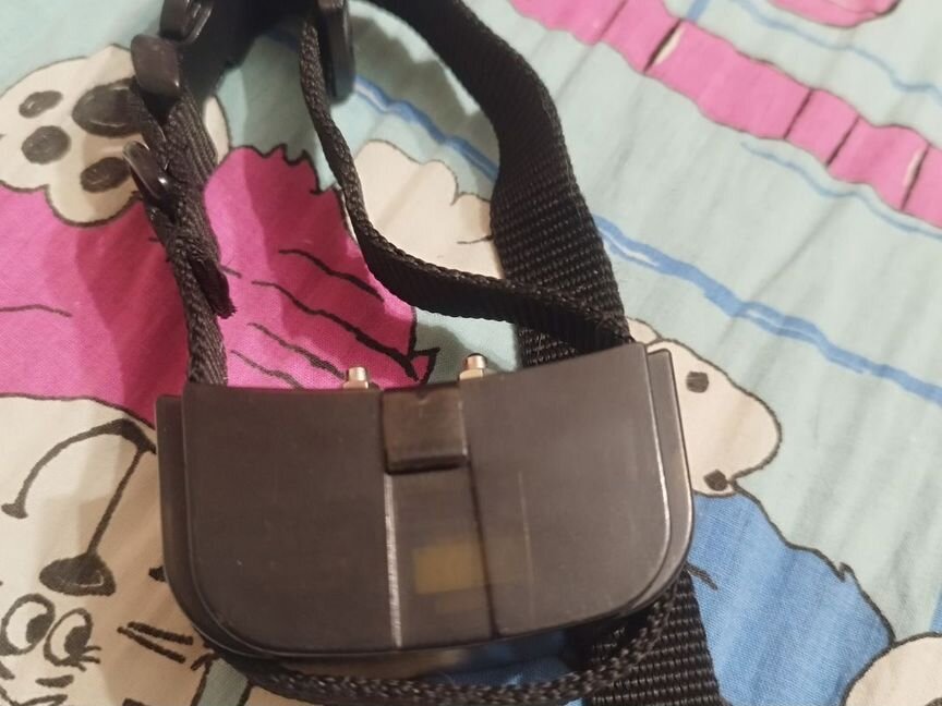 Электро ошейник без пульта