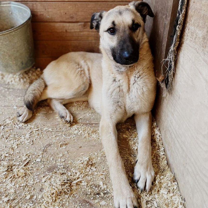 Всё детство в приюте