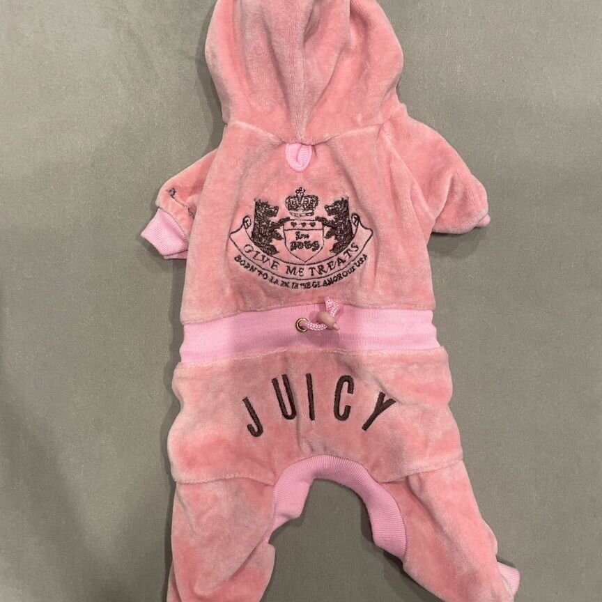 Осенний костюм для маленькой собаки