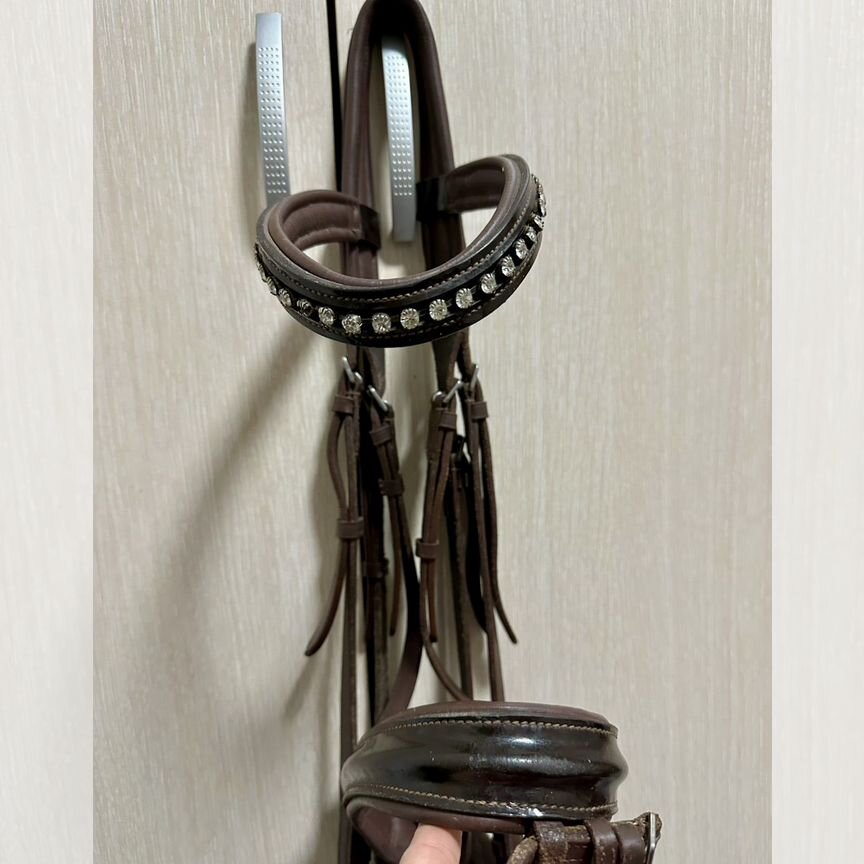 Уздечка в сборе