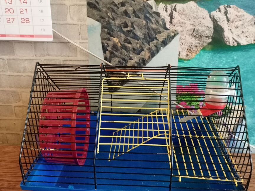 Клетка для грызунов