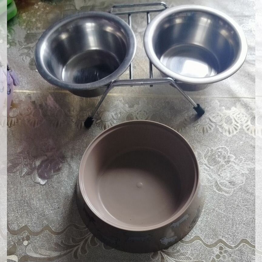 Миски для кошек бесплатно