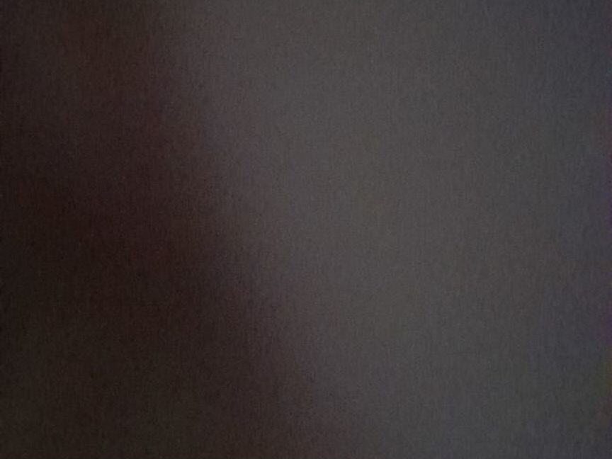 Недельные индоутята