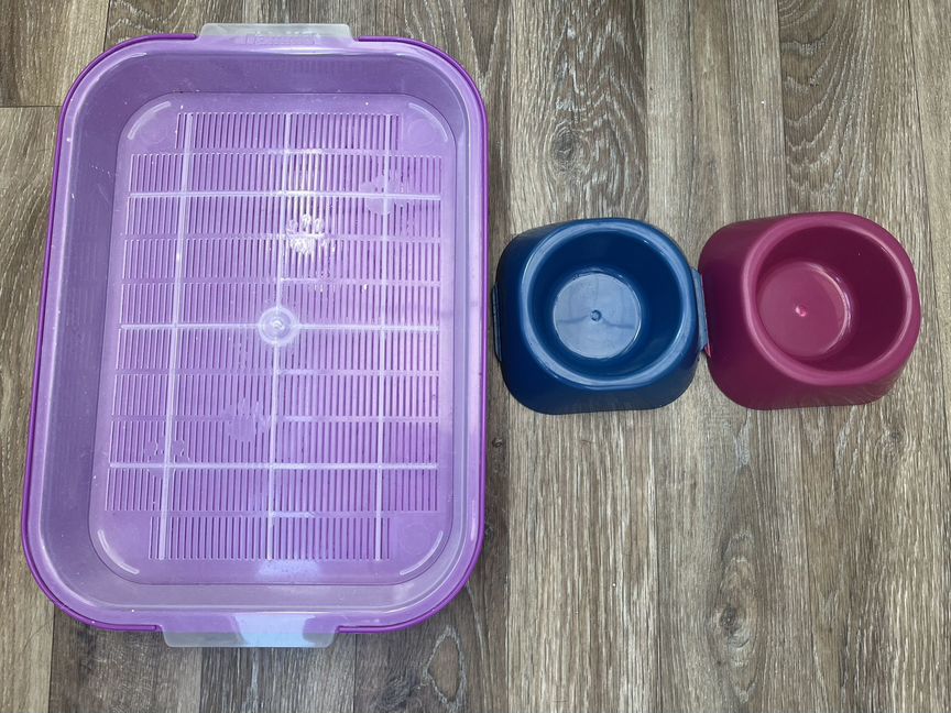 Лоток + 2 миски и спрэй для приучения к туалету