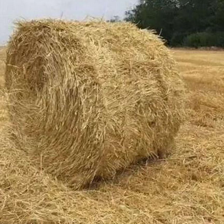 Солома в тюках
