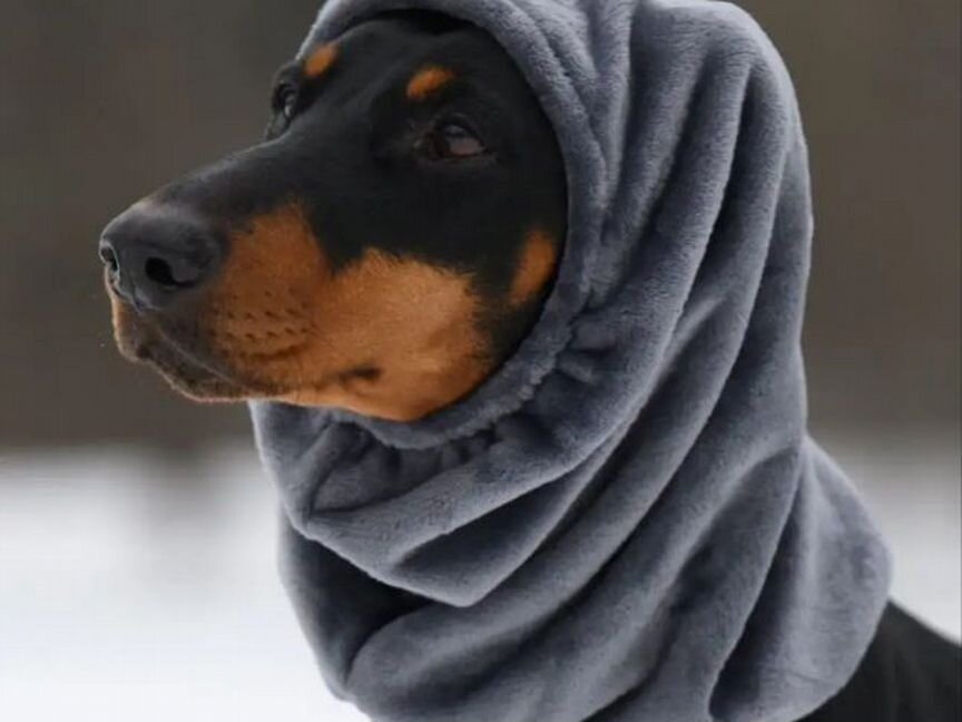 Шапочка для собак