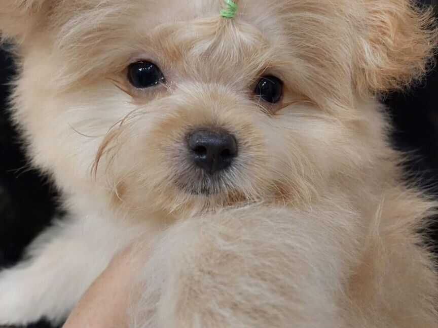 Мальчик красавчик