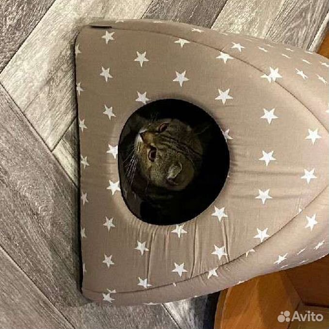 Отдам кошку в добрые руки, очень игривая