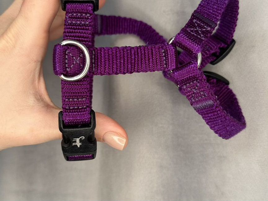 Шлейка анатомическая для собак шарик дог xxs