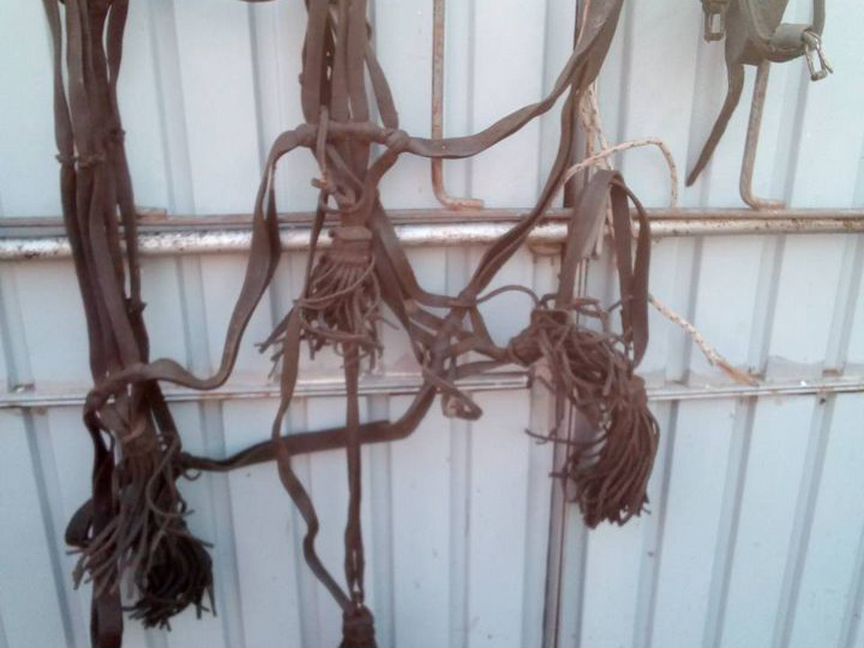 Продам сбрую советской Закалки. Все новое