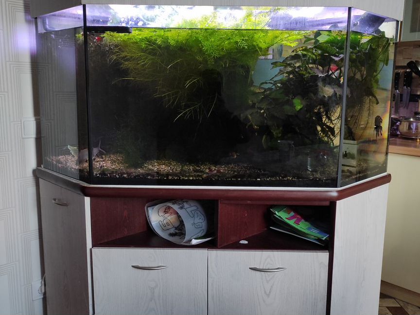 Продам аквариум 400-450 литров