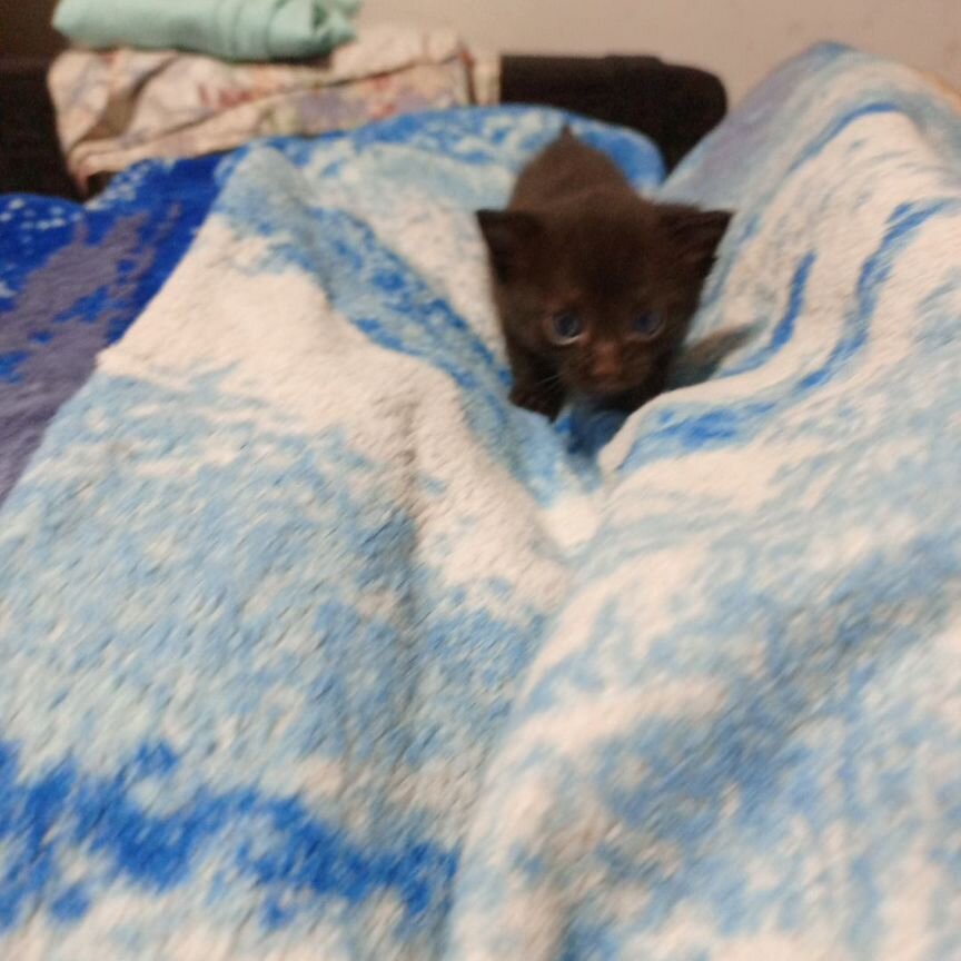 Мальчик с голубыми глазками