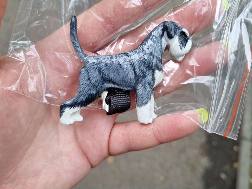 Держатель рингового номера ризеншнауцер