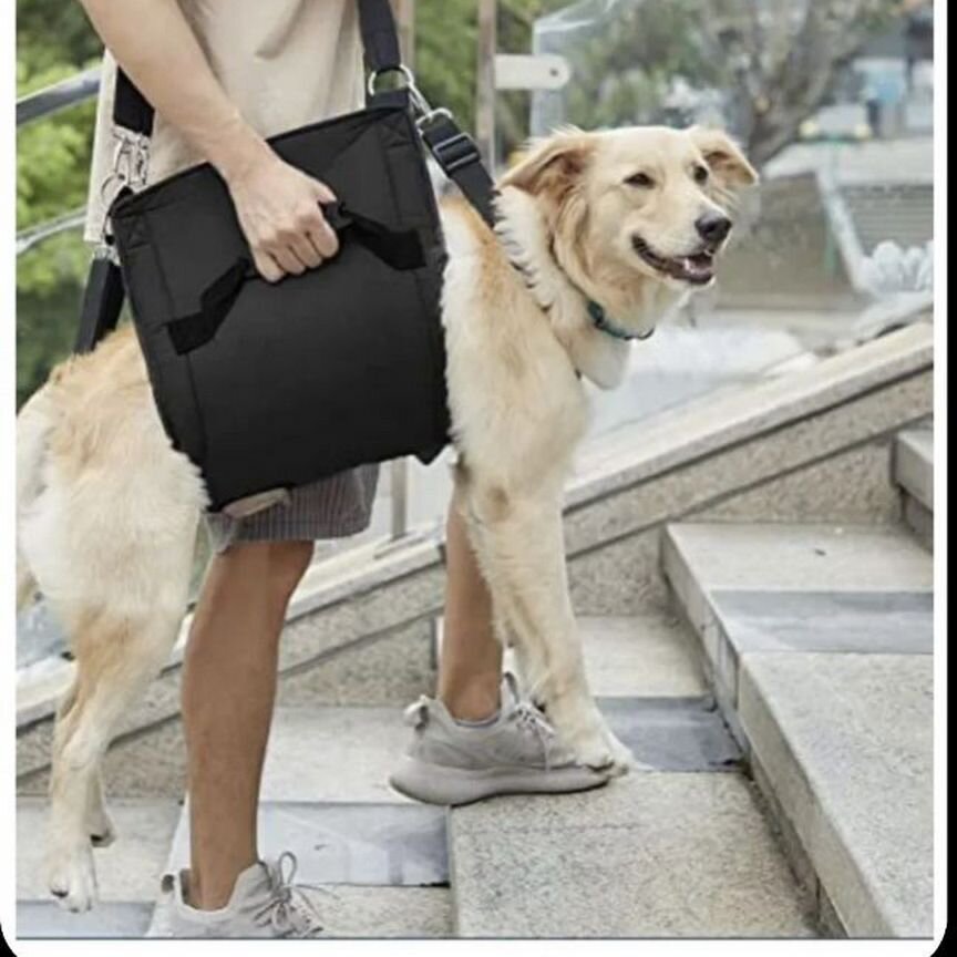 Ходунки для животных с проблемными лапами. Шлейка