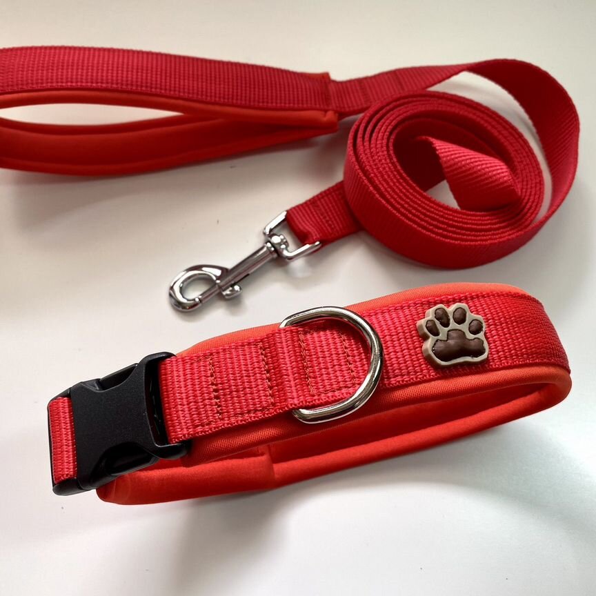 Ошейник и поводок для собаки