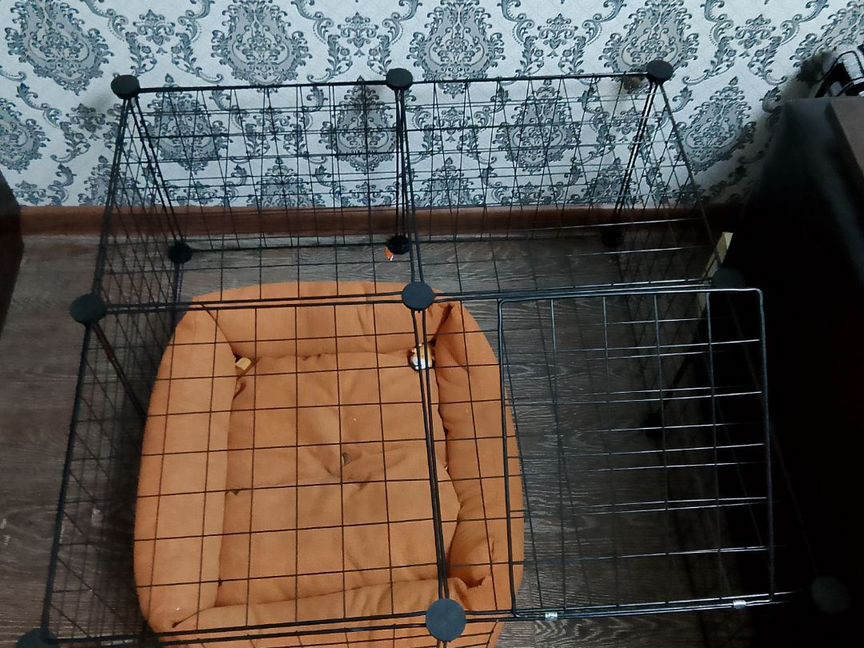 Вольер для собак в квартиру