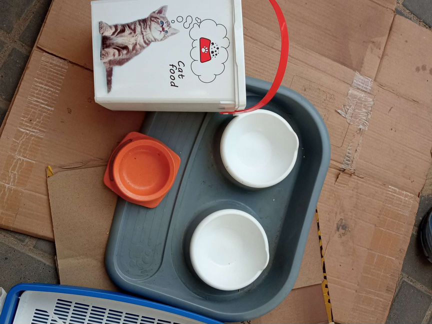 Миска для животных и горшок