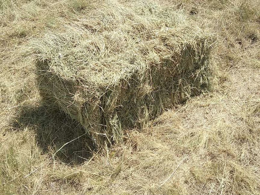 Сено луговое в тюках