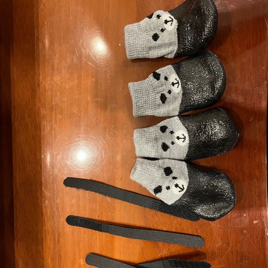 Обувь для собак