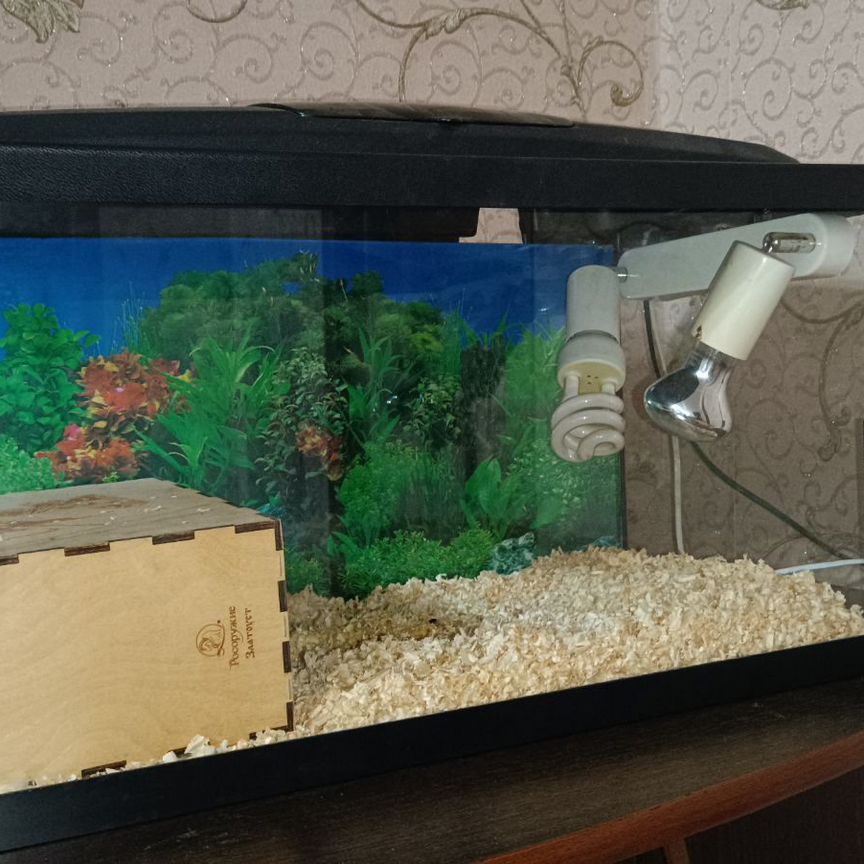 Террариум (аквариум)