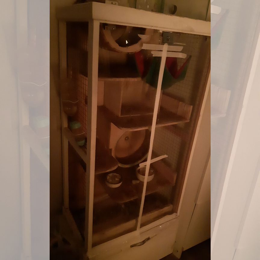 Витрина для белок дегу