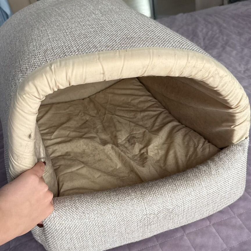 Кошачий домик