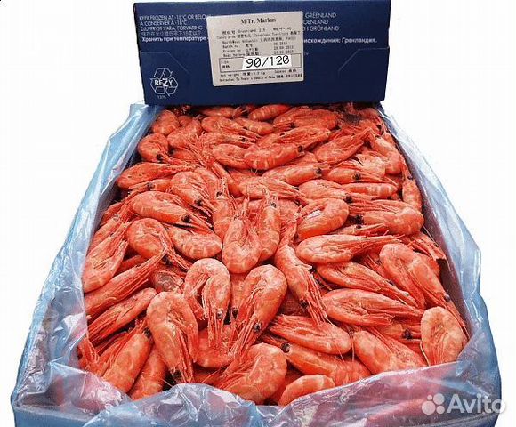 Креветки северные купить в Чехове | Товары для дома и дачи | Авито