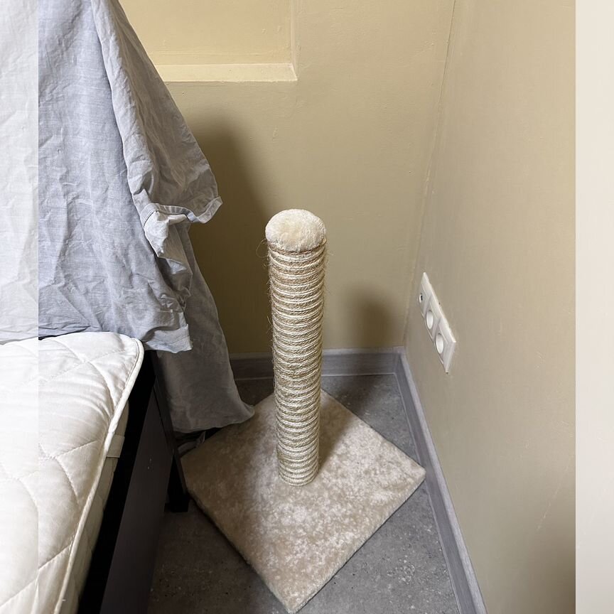 Когтеточка