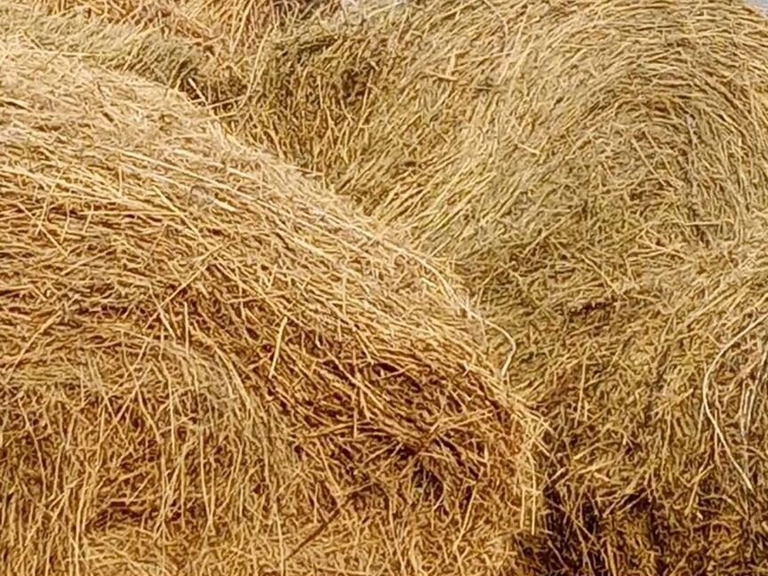 Сено в тюках