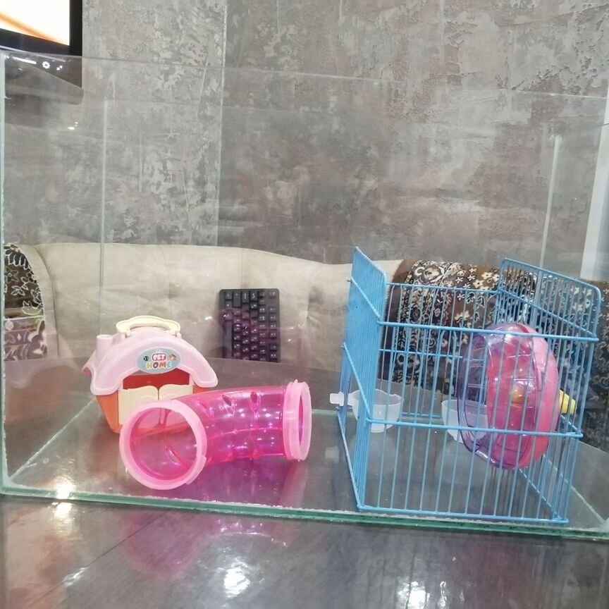 Аквариум для хомяка