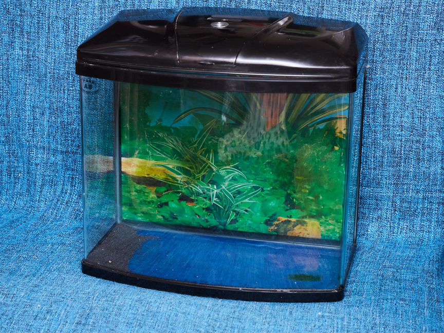 Аквариум