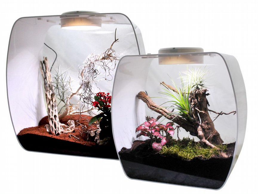 Террариум для пауков 35x20x35см