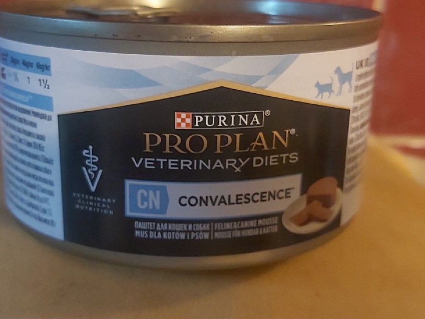 Лечебное питание для кошек и котят