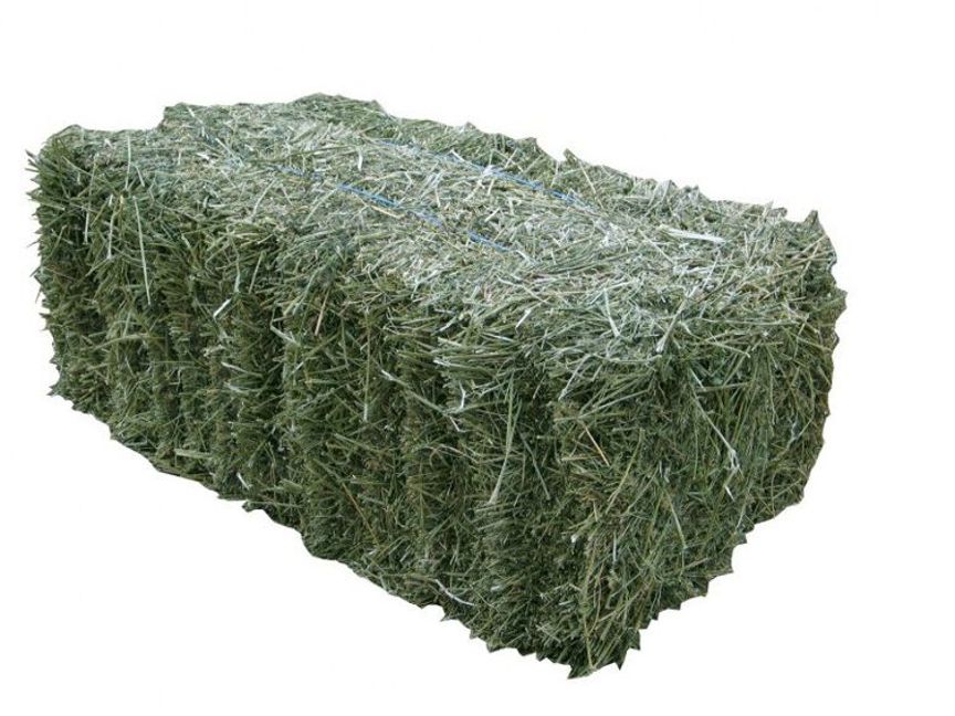 Люцерна в тюках
