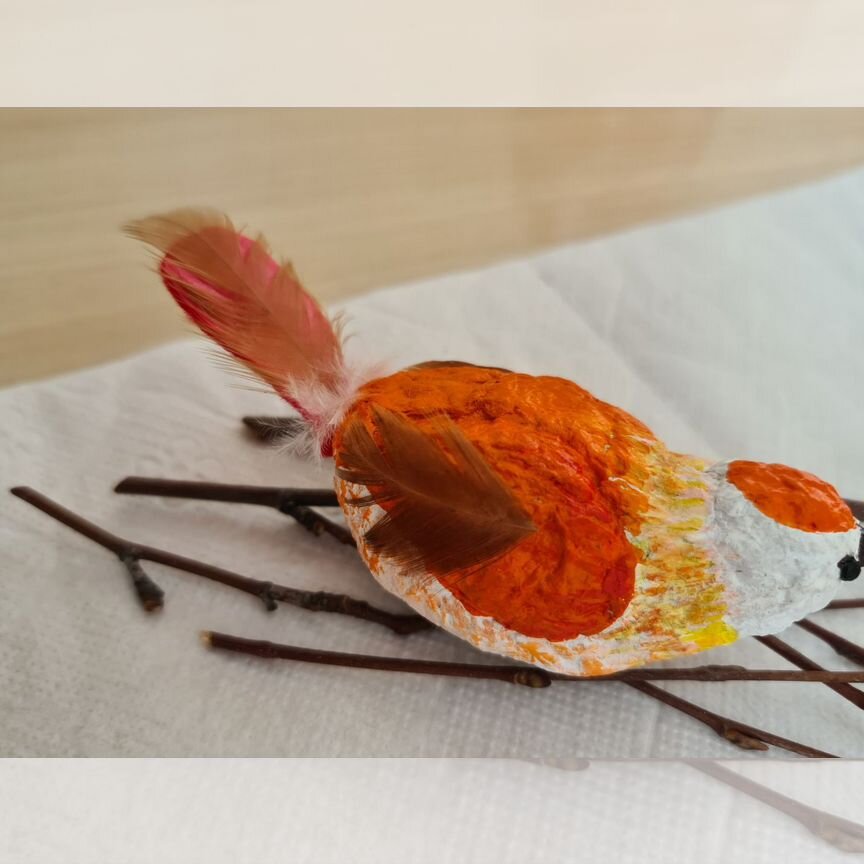 Декоративные птицы